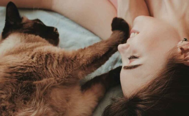 Cat Kneading Explained: Why Do Cats Make Biscuits?